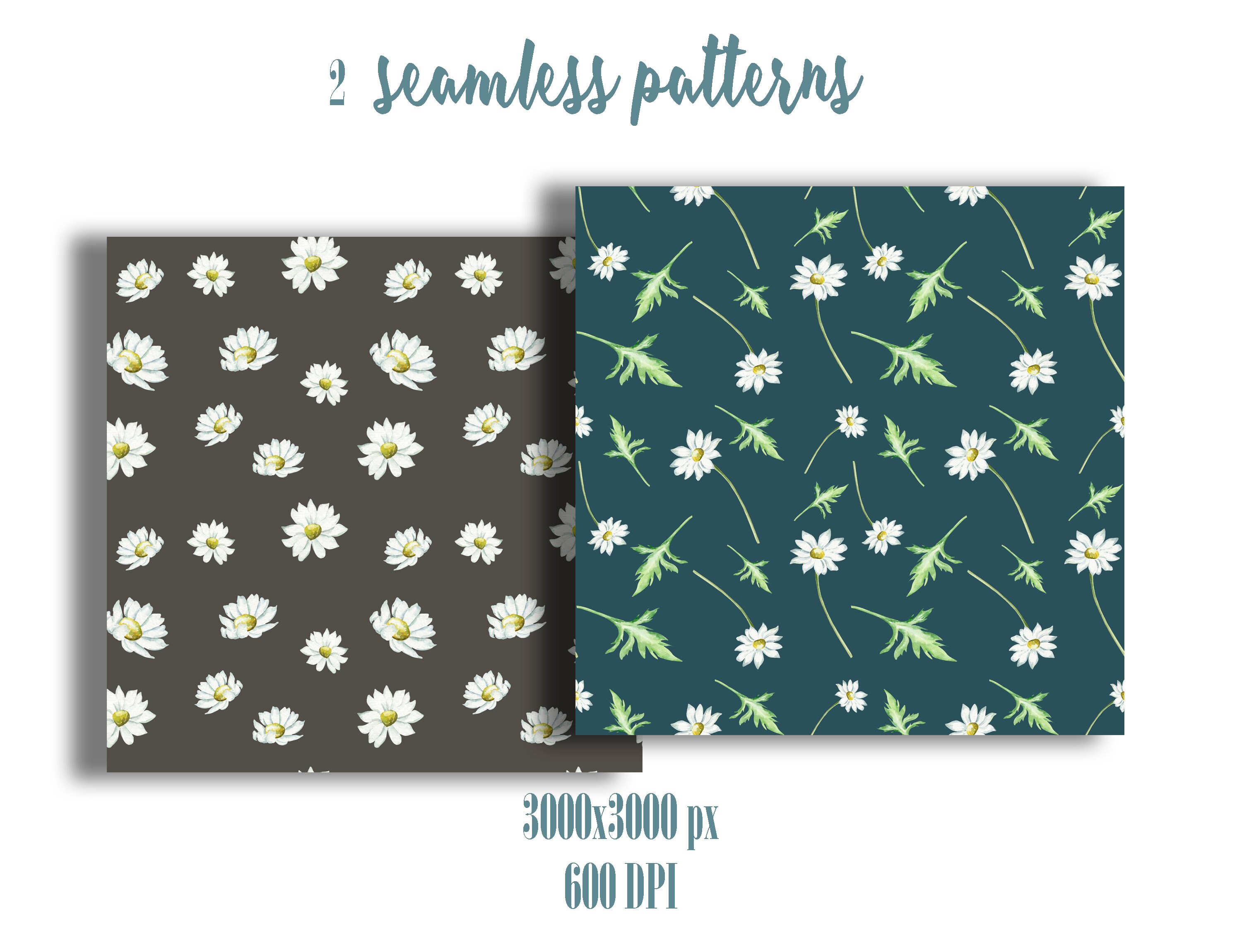 Watercolor Daisy Clipart. Watercolor Daisies. Botanical Floral Clipart ...
