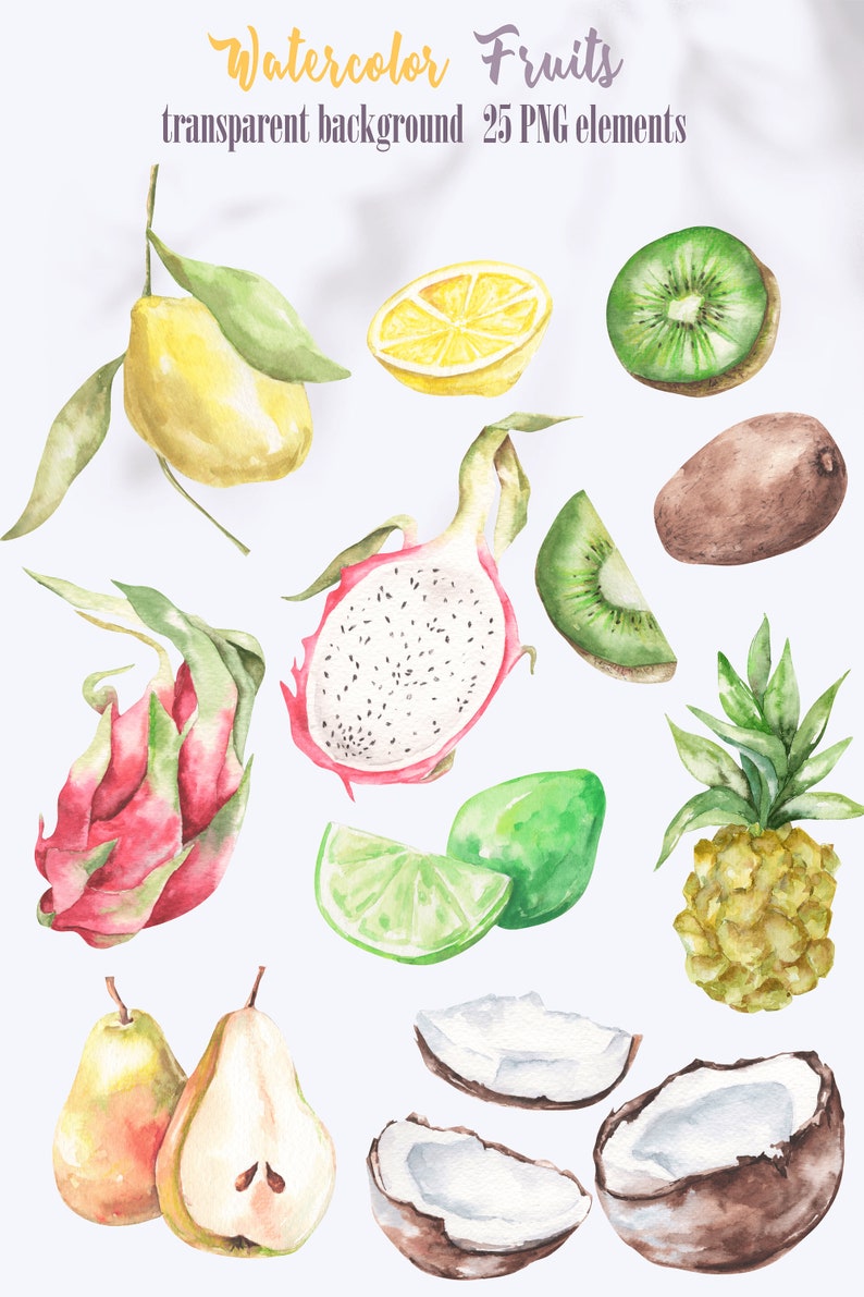 Watercolor Fruits Clipart. Watercolor Fruits PNG. Tropical Fruits ...