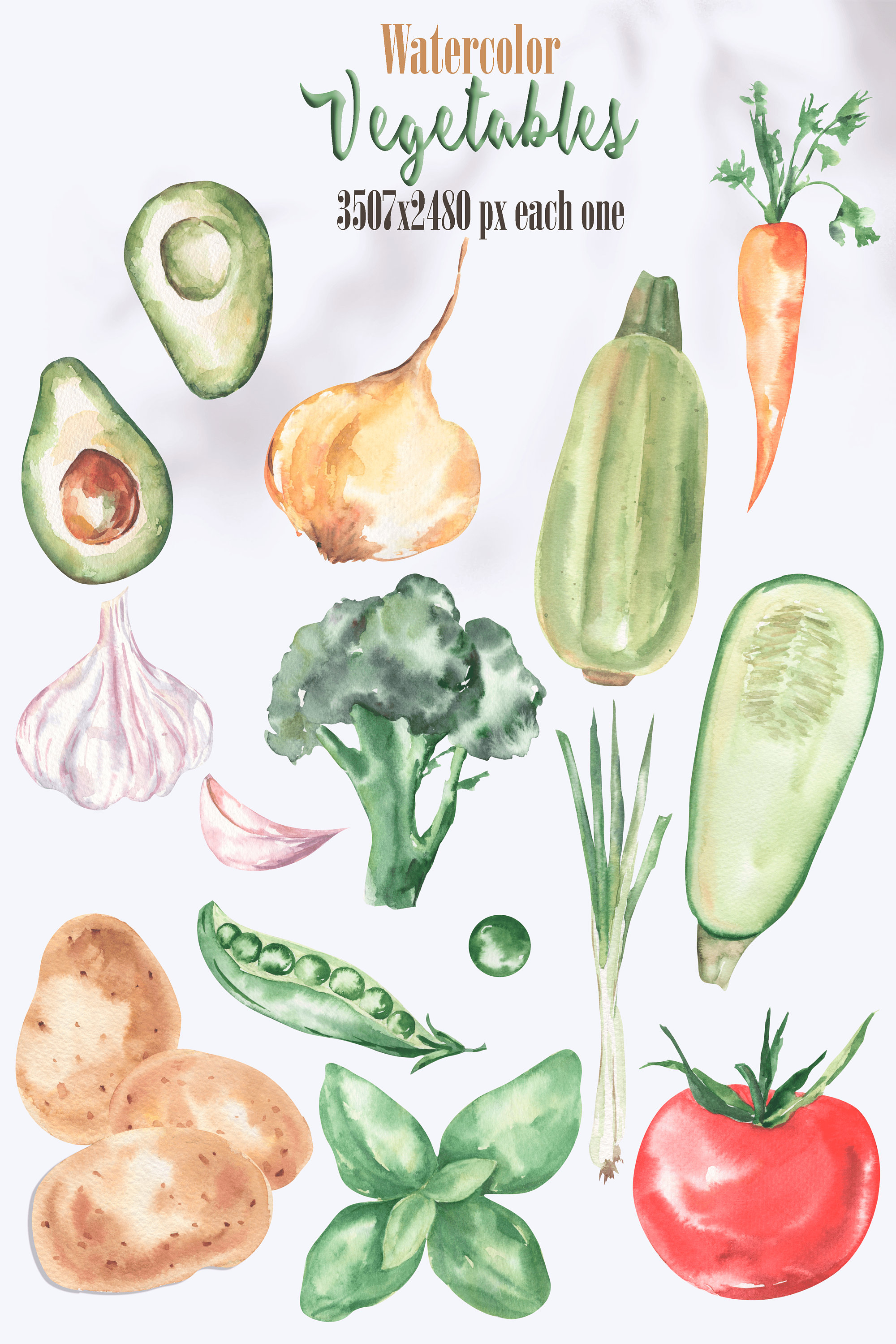 Vegetables PNG. Watercolor Vegetables Clipart,watercolor Food Clipart ...