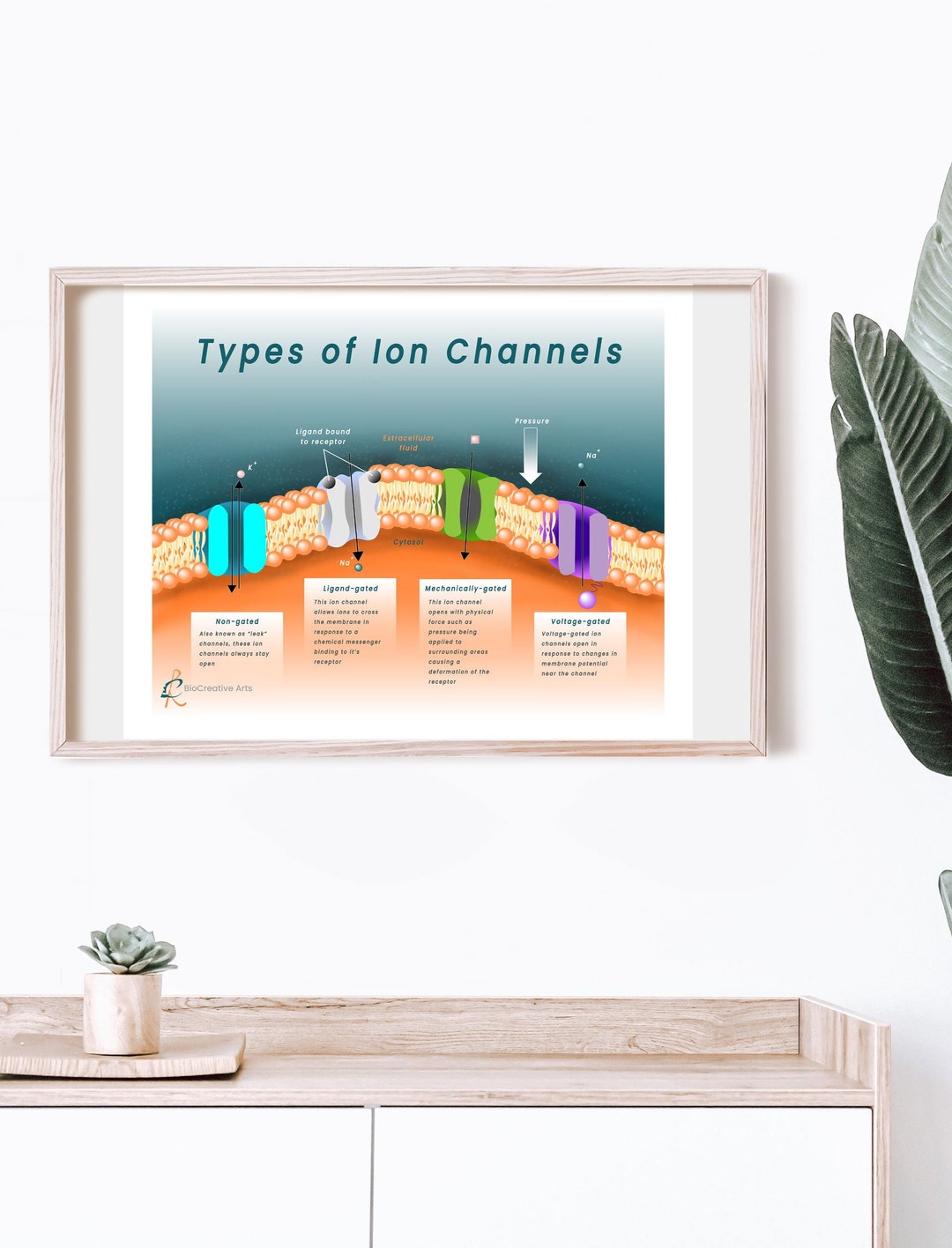 Ion Channel Movements Poster - Biocreative Arts - Art Print/infographic ...