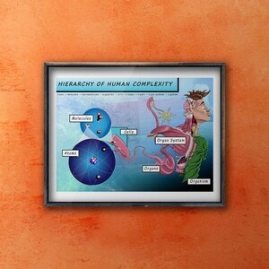 Hierarchy of Human Complexity - Biocreativearts - Art Prints ...