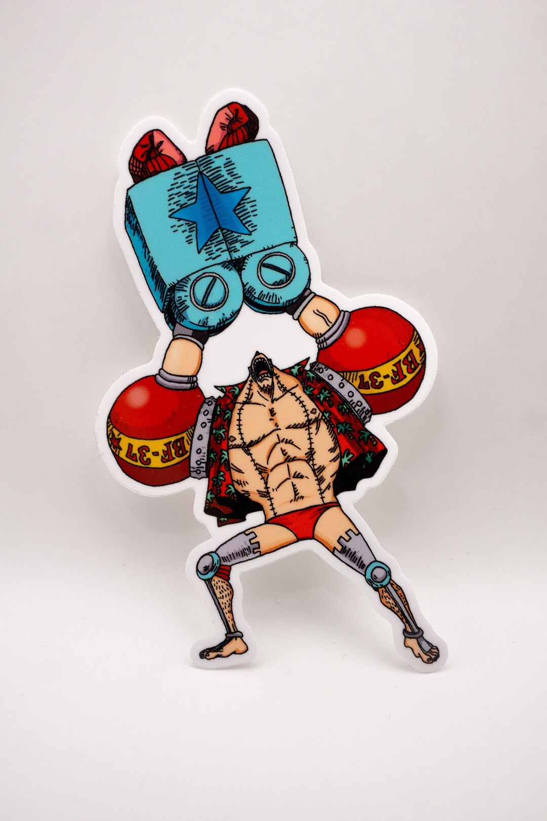 Anime Sticker | Franky Vinyl - Etsy