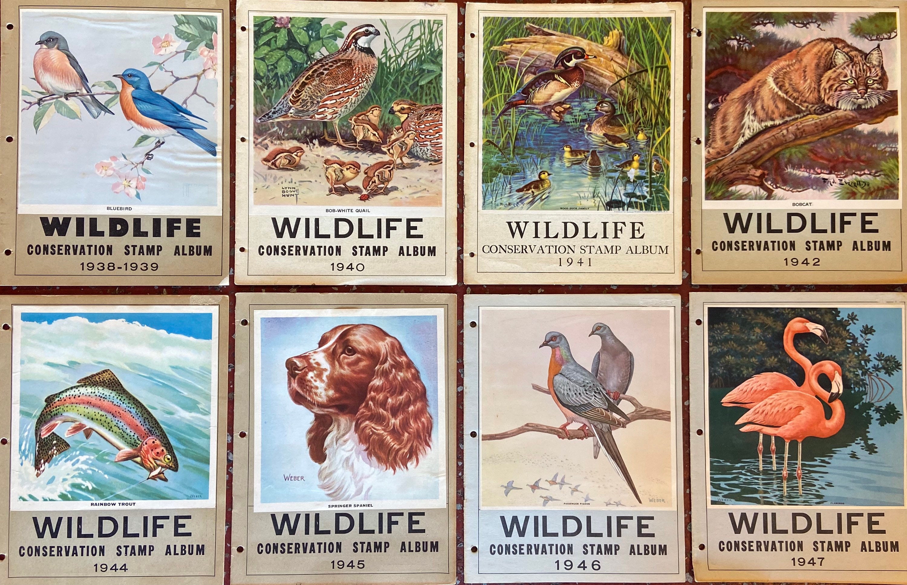Lot of 8 Vintage Wildlife Conservation Stamp Albums National | Etsy