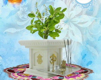 Small Tulsi Planter - Etsy