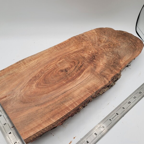 Spalted Wood Slab - Etsy
