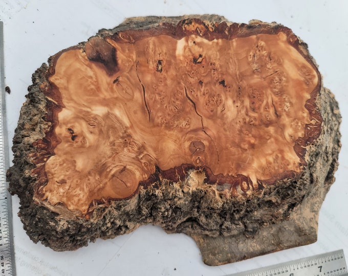 Live Edge Applewood Burl Blank, 6x7x1.5 - Etsy