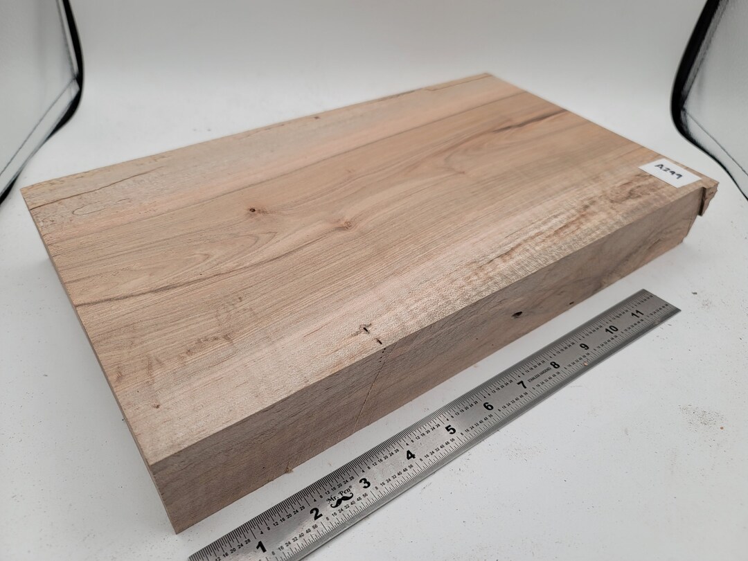 Spalted Curly Maple Blank, 14.75x8.5x2 - Etsy