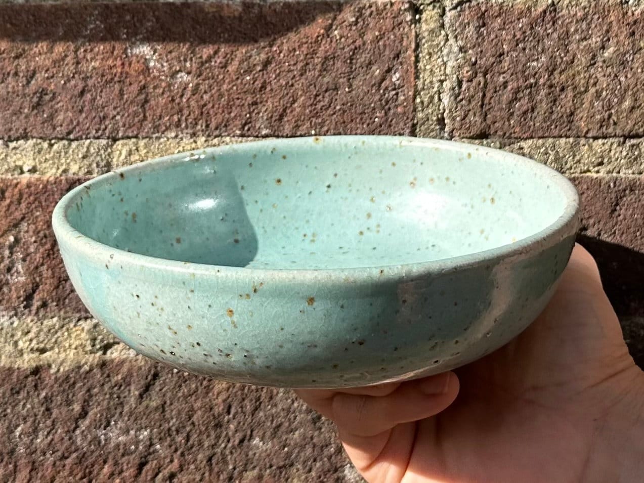 Pasta Plate, Ceramic Serving Plate, Home Kitchen Plate, Plate, Dish ...