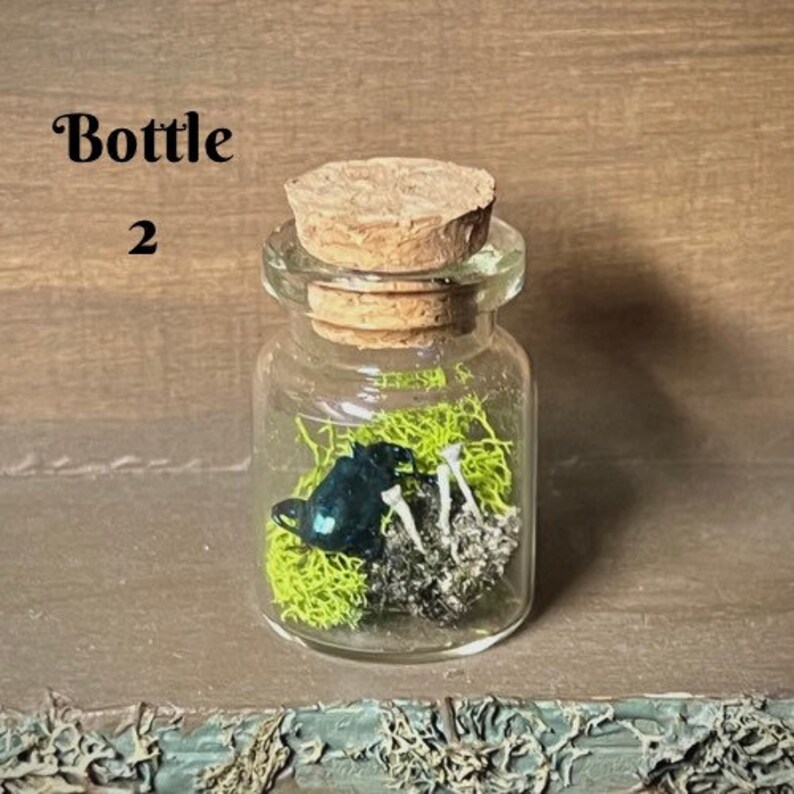 Terrarium Jar Oddities Curio Cabinet Miniature Decor - Etsy