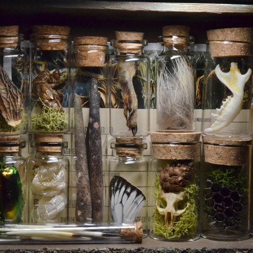 Oddities Mystery Box - Etsy