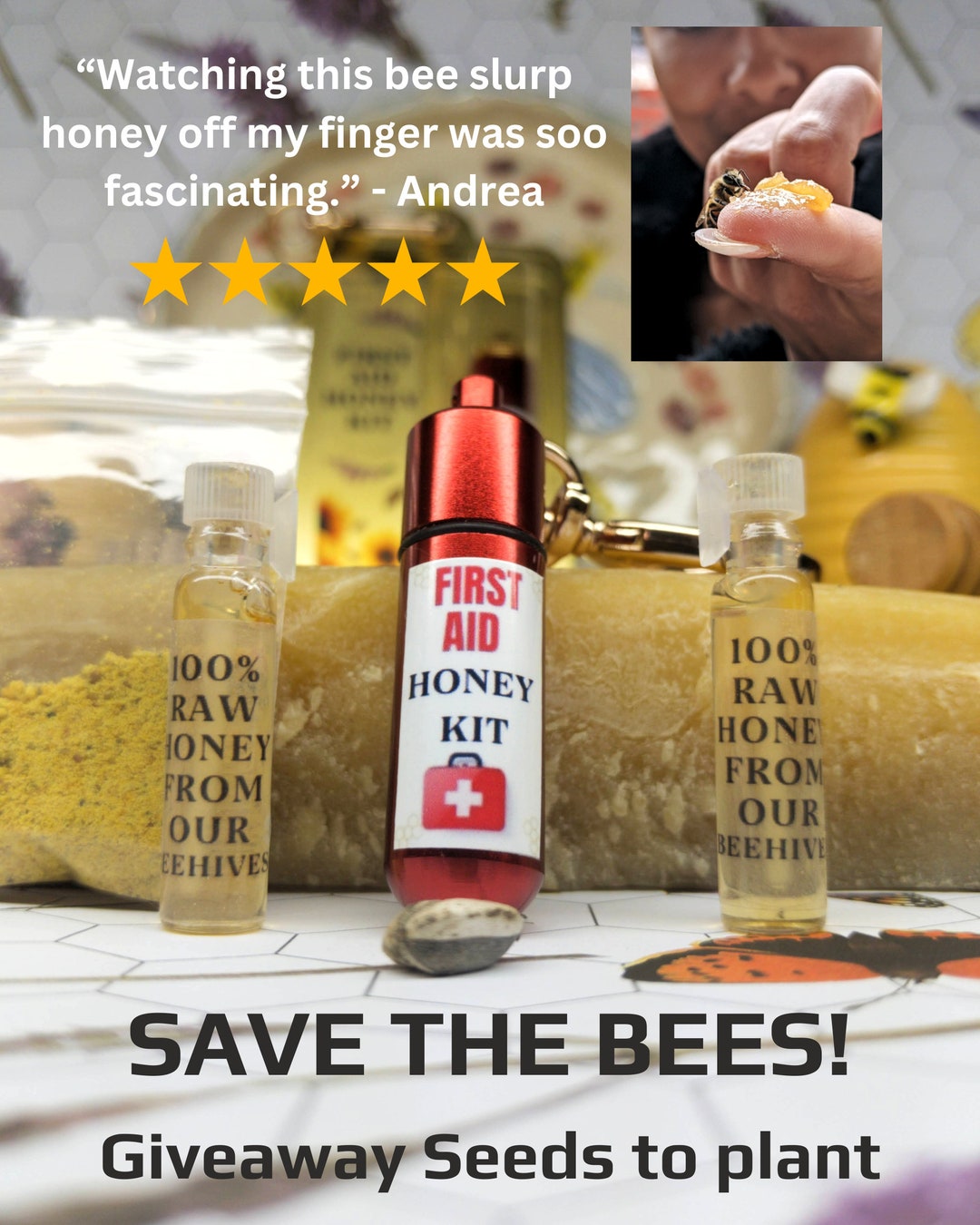 Interact With Honey Bees - Revive a Bee - Bee Kit - Honey Bee Gifts ...