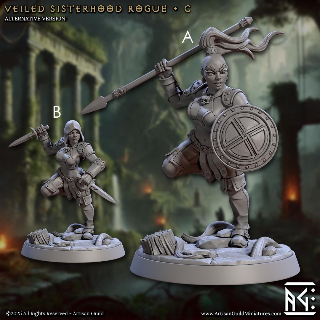 Veiled Sisterhood Rogue C Fantasy Miniature Dungeons and Dragons Mini ...