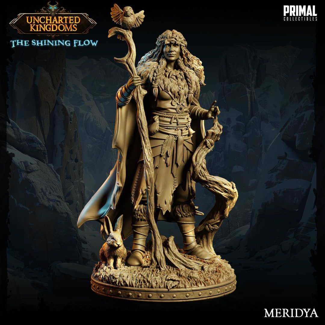 Meridya the Druid Fantasy Miniature Dungeons and Dragons Mini RPG ...