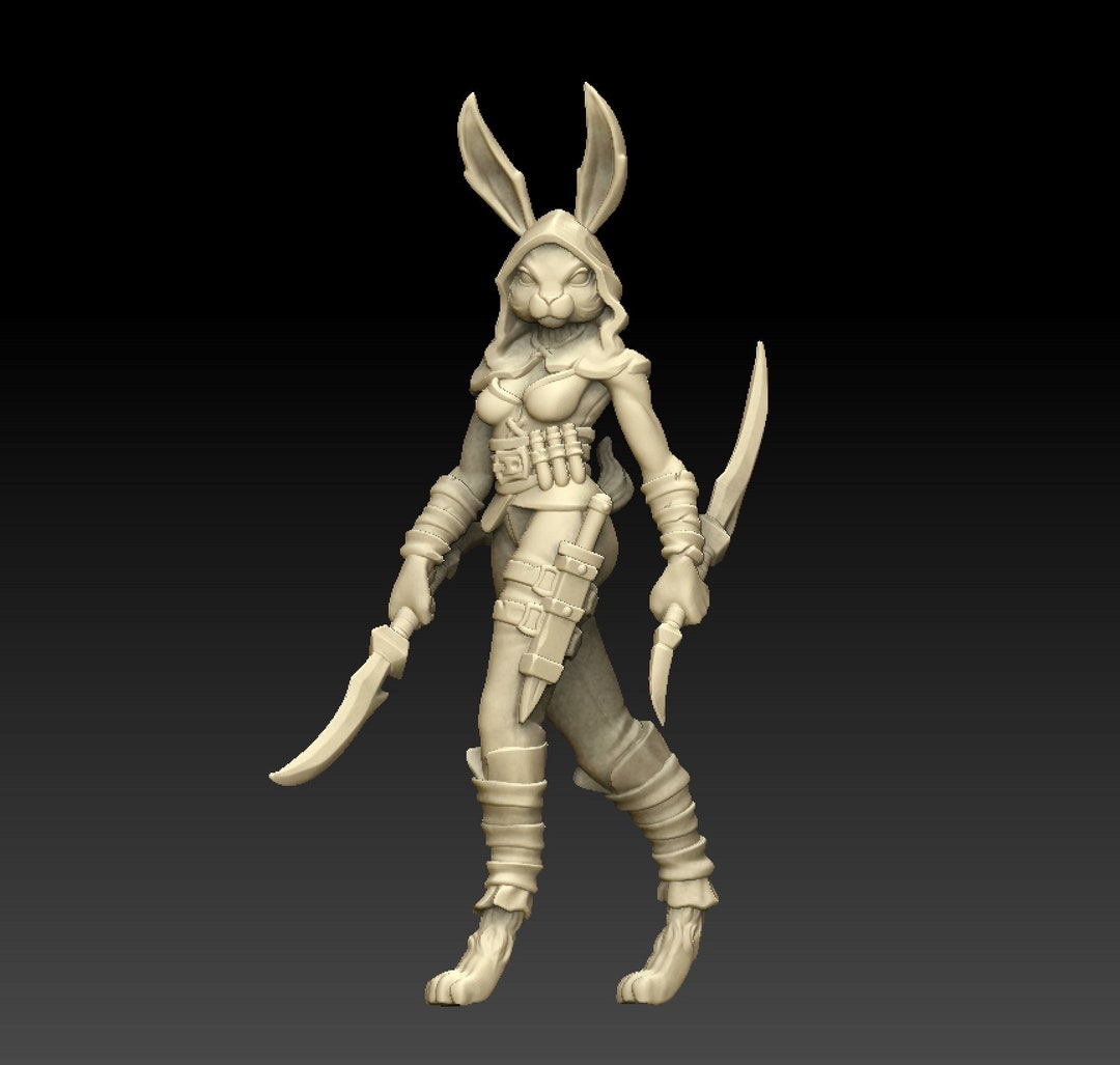 Harengon, Rogue | Fantasy Resin Miniature | Dnd Miniatures | RPG ...