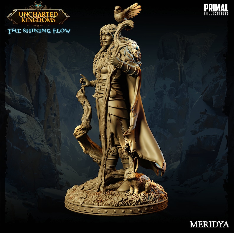 Meridya the Druid Fantasy Miniature Dungeons and Dragons Mini RPG ...