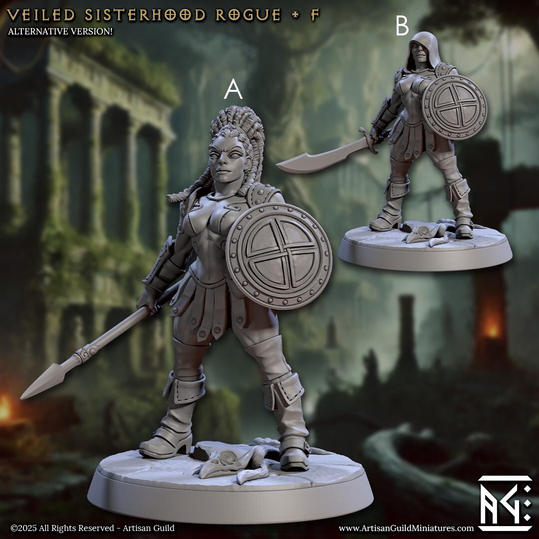 Veiled Sisterhood Rogue F Fantasy Miniature Dungeons and Dragons Mini ...