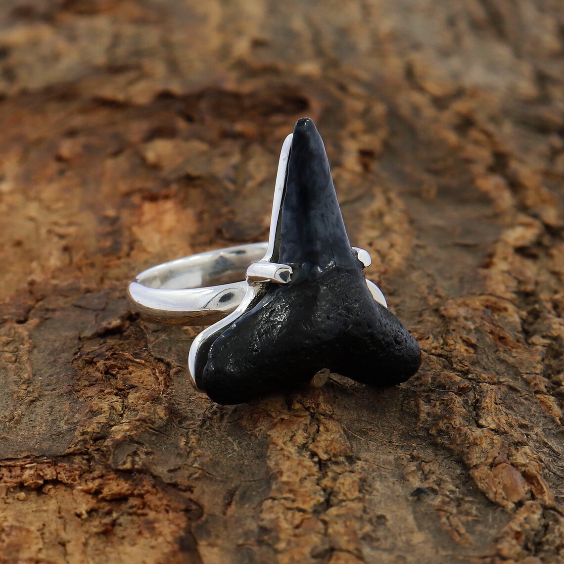 Natural Shark Tooth Gemstone Ring 925 Sterling Silver | Etsy