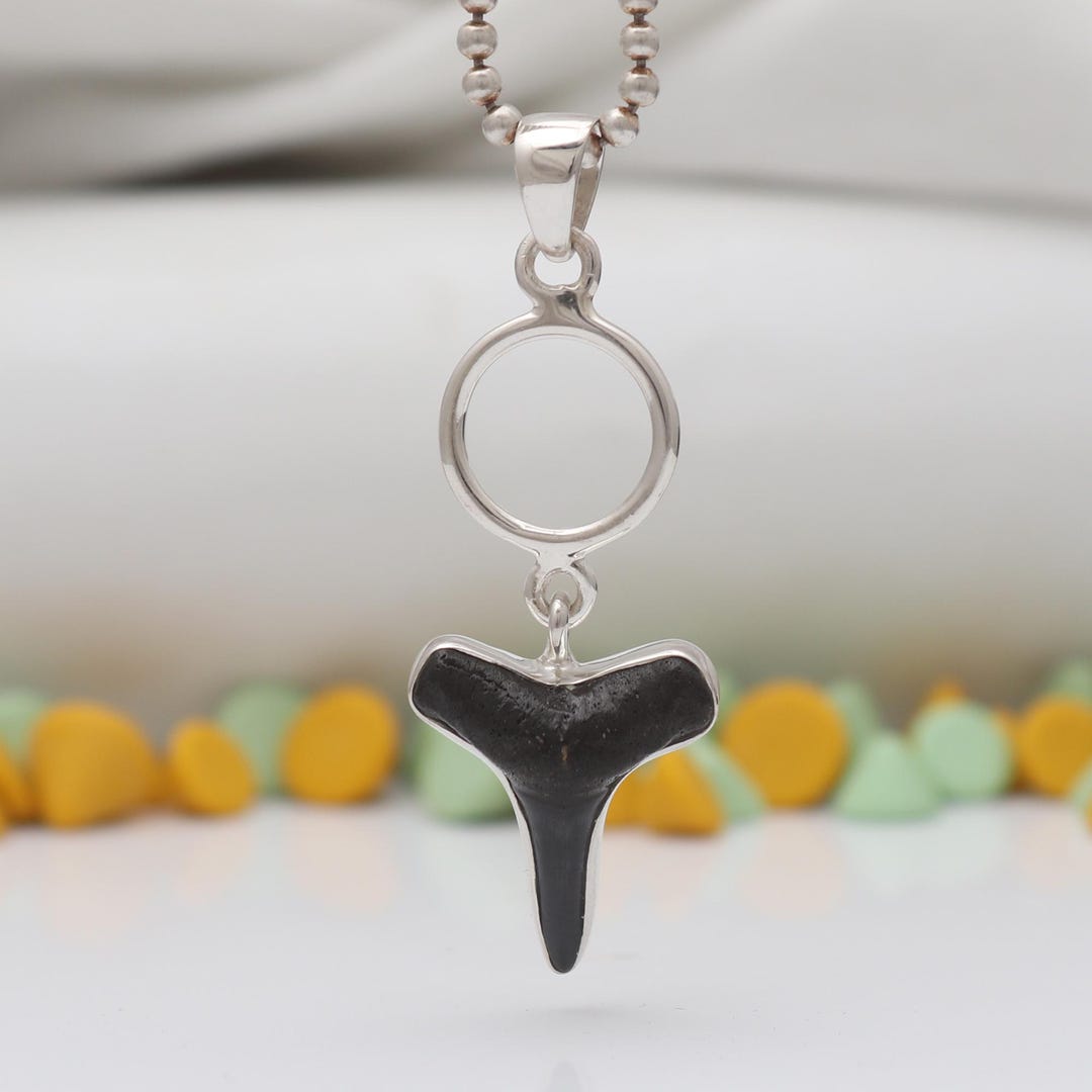 Shark Tooth Pendant-925 Sterling Silver Shark Tooth Key-chain Pendant ...