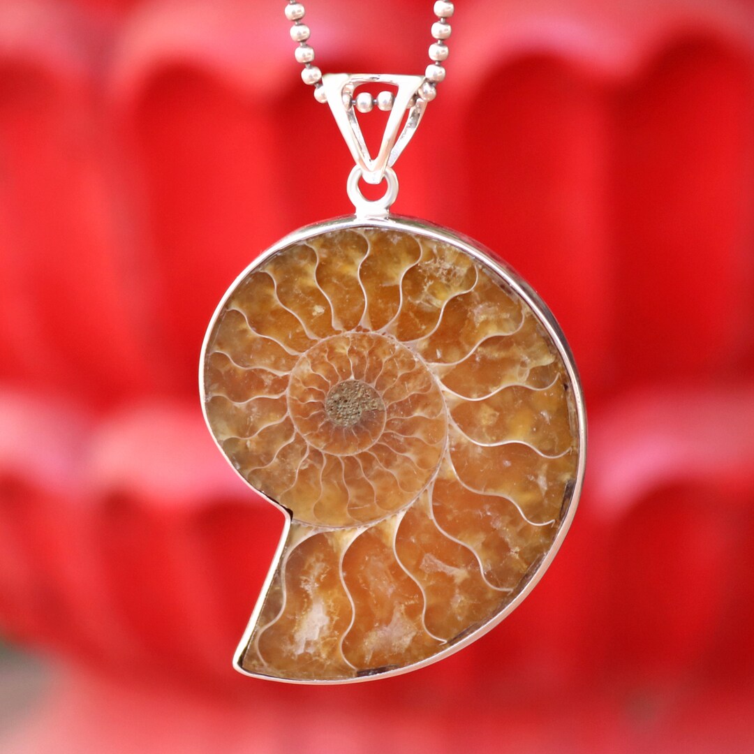 Large Ammonite Fossil Pendant, 925-solid Silver Designer Pendant ...