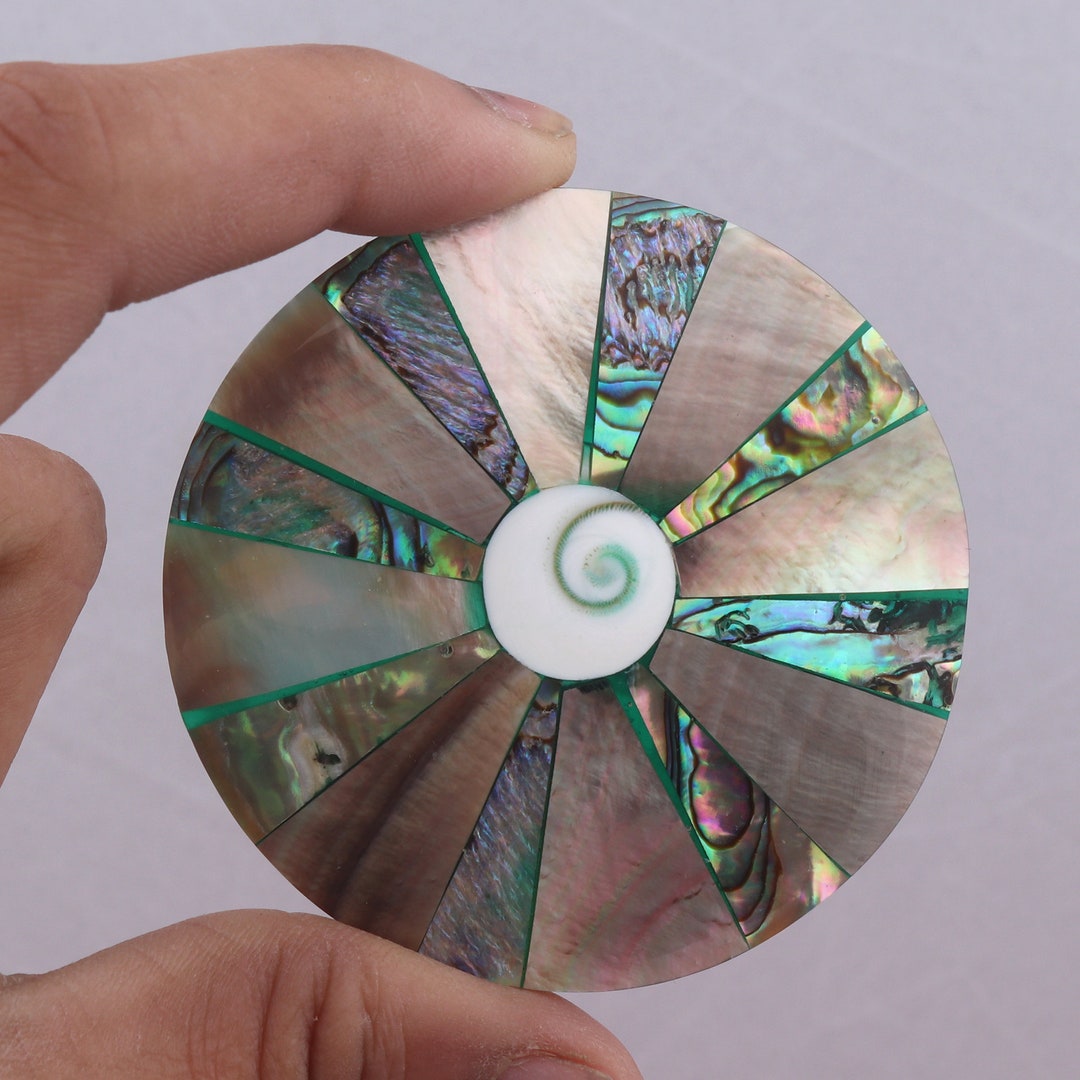 Natural Abalone Shell Dish Brilliant Rainbow Iridescence Premium Shells ...