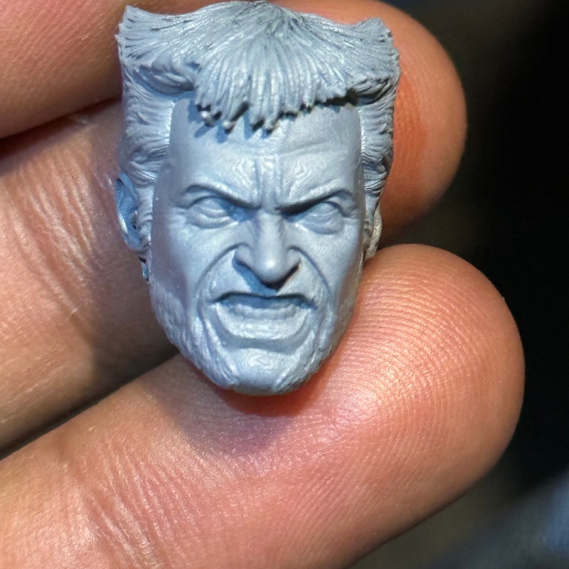 Wolverine 1/12 Head - Etsy UK