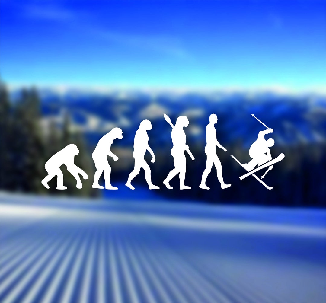 Ski Aufkleber Ski Evolution Vinyl Sticker Skiing Evolution Vinyl Decal ...