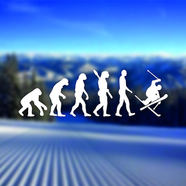 Ski Stickers - Etsy