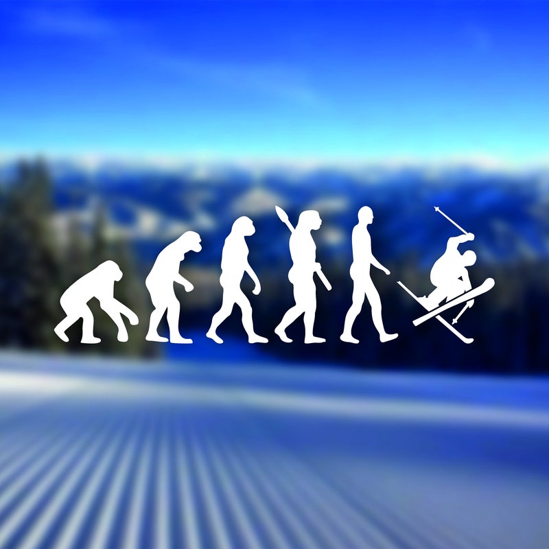 Ski Decal - Etsy