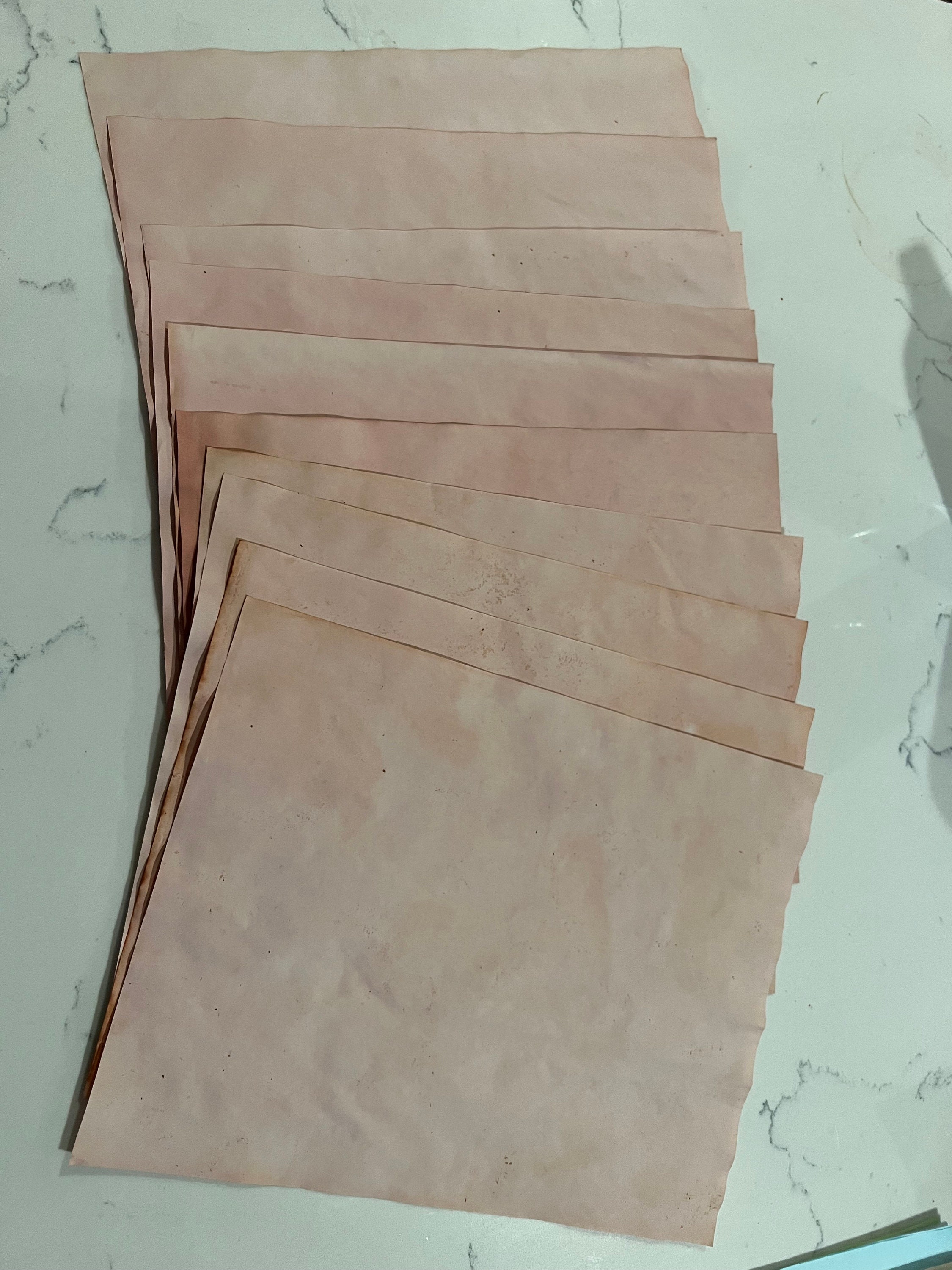 Avocado and Purple Cabbage Dyed Paper - Etsy