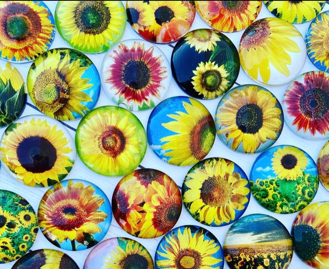 Sunflower Refrigerator Magnets, Glass Magnets, Cute Office Supplies ...
