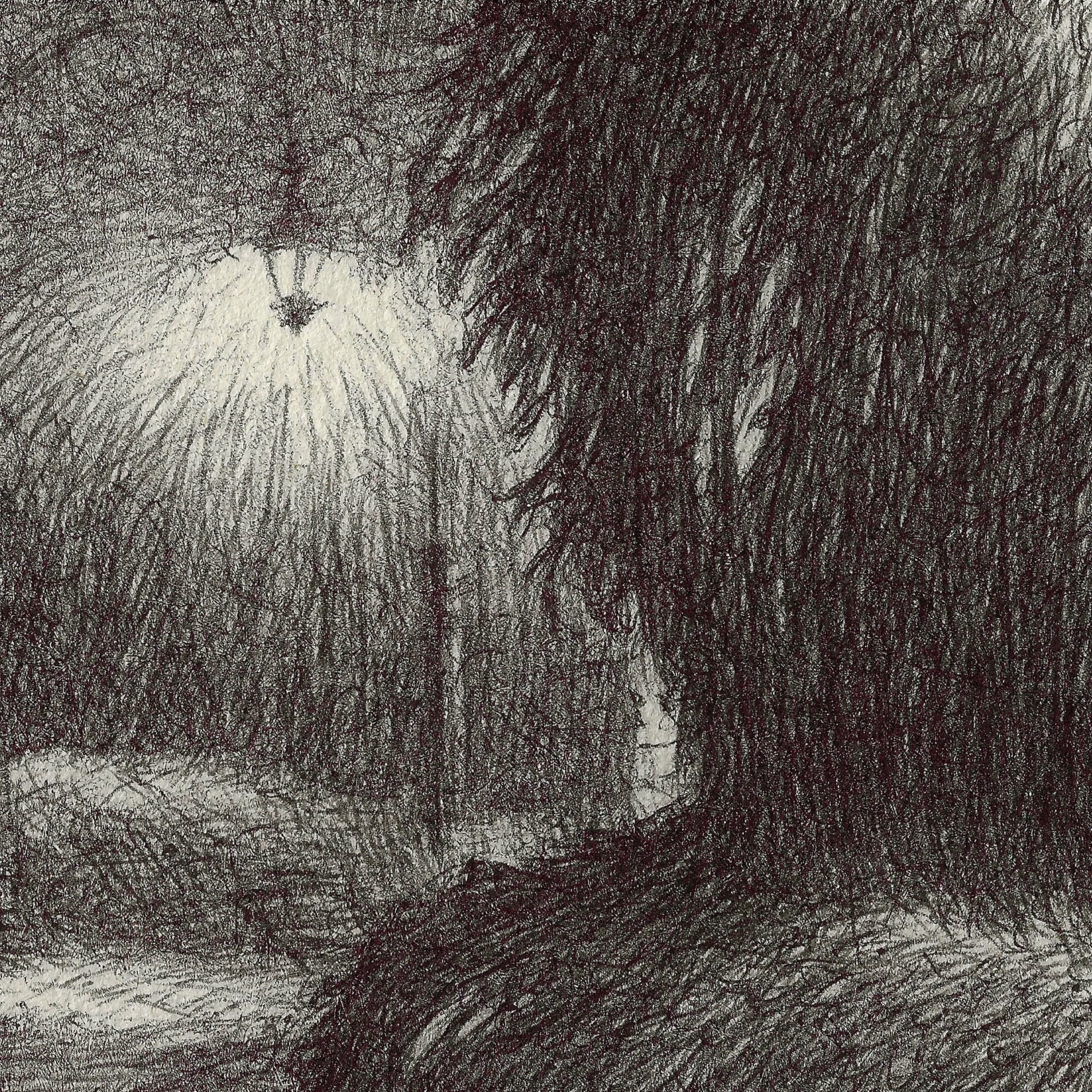 9 X 6 Fine Art Print of Ink Drawing Cat Walking Thru Lamplit - Etsy