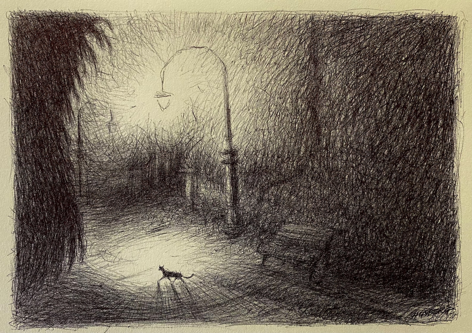 Lonely Cat Glowing Lamp Post Cat Ink Drawing Moody Night Scene ...