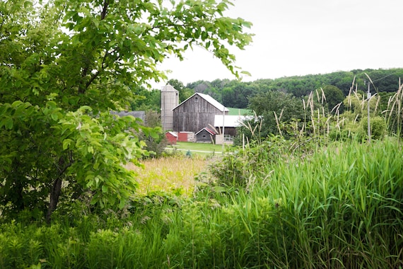 Rustic Country Farm Scenery Vertical Country Landscape Photo, Rustic