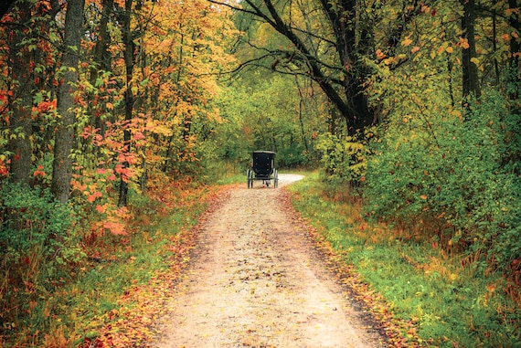 Amish Photo Fall Country Landscape Wall Art Decor Amish - Etsy