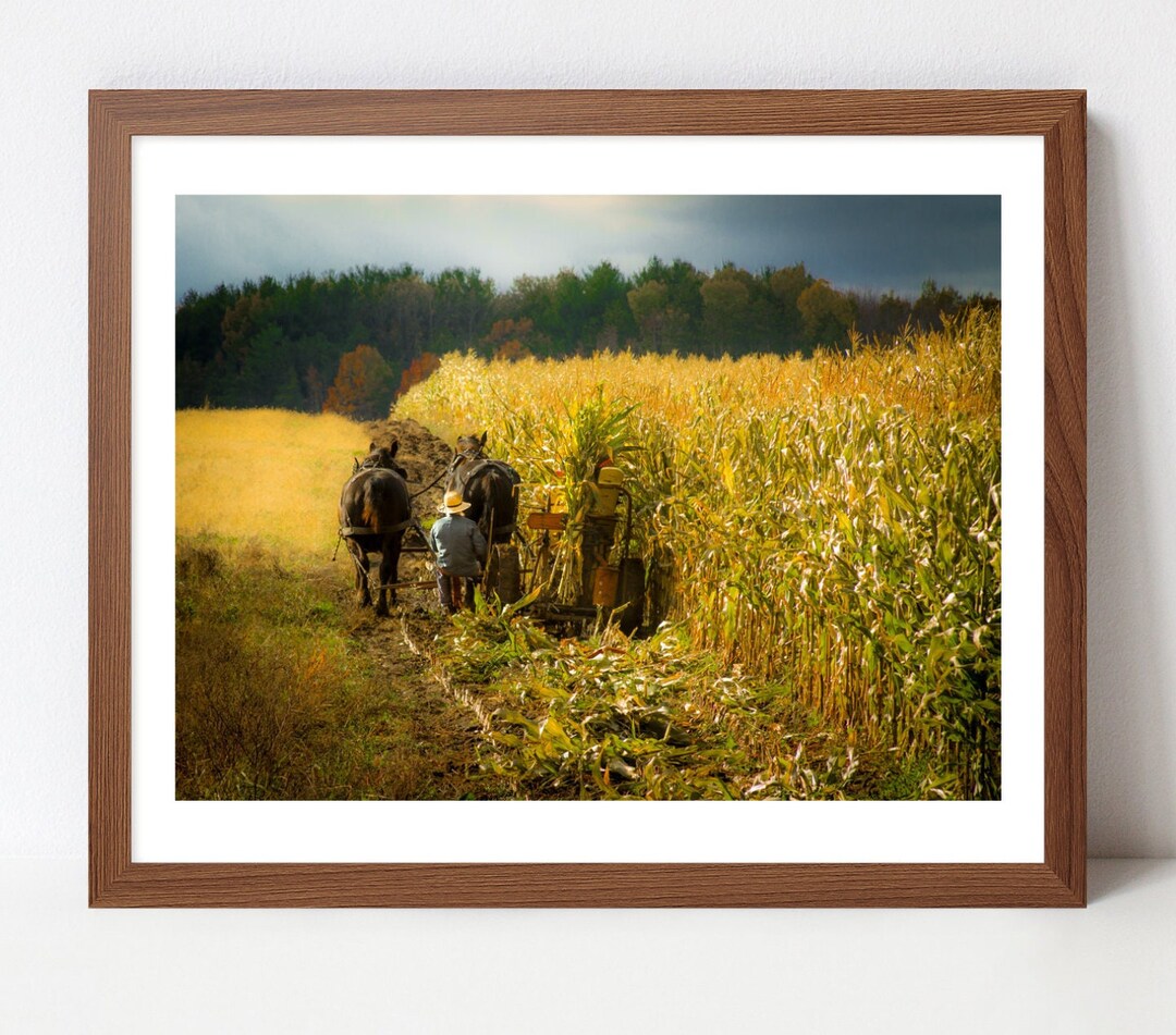 Country Landscape Photo, Rustic Wall Art, Farm Photograph, Rustic Farm ...