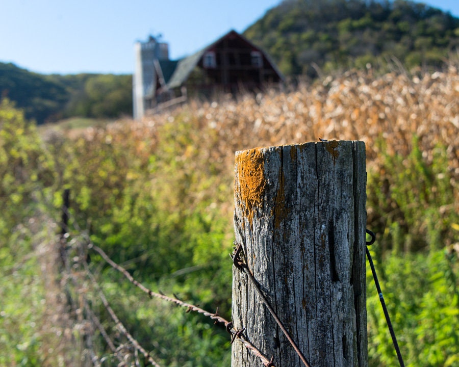 Old Farm Fence