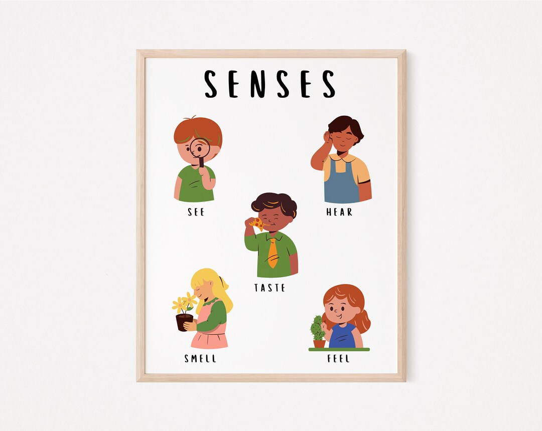 Educational poster on senses, digital download, montessori decoration ...