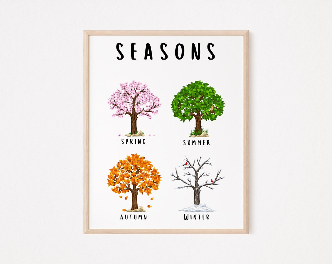 Seasons Educational Poster: Digital Download for Montessori Decor in ...