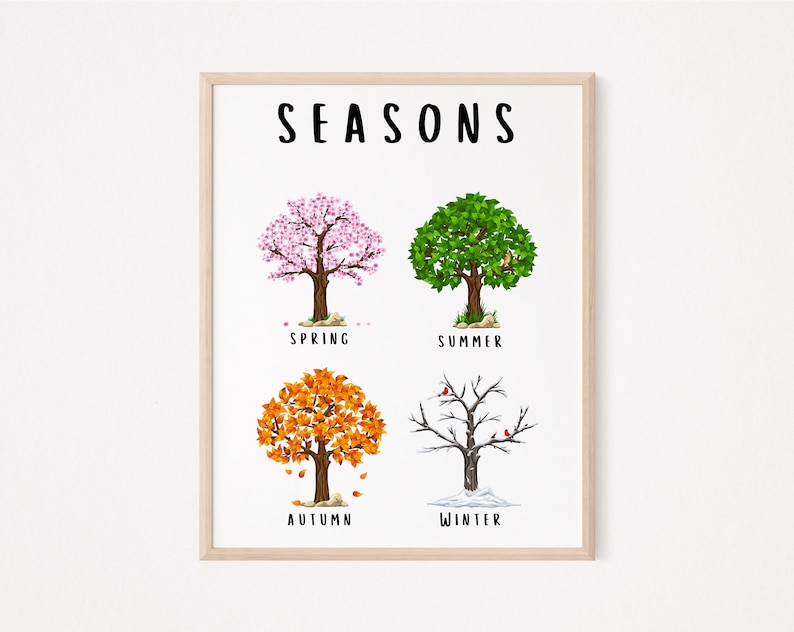 Seasons Educational Poster: Digital Download for Montessori Decor in ...