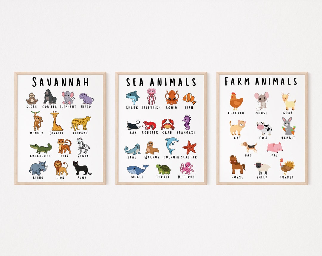 Educational Poster on Animals, Digital Download, Montessori Decoration ...