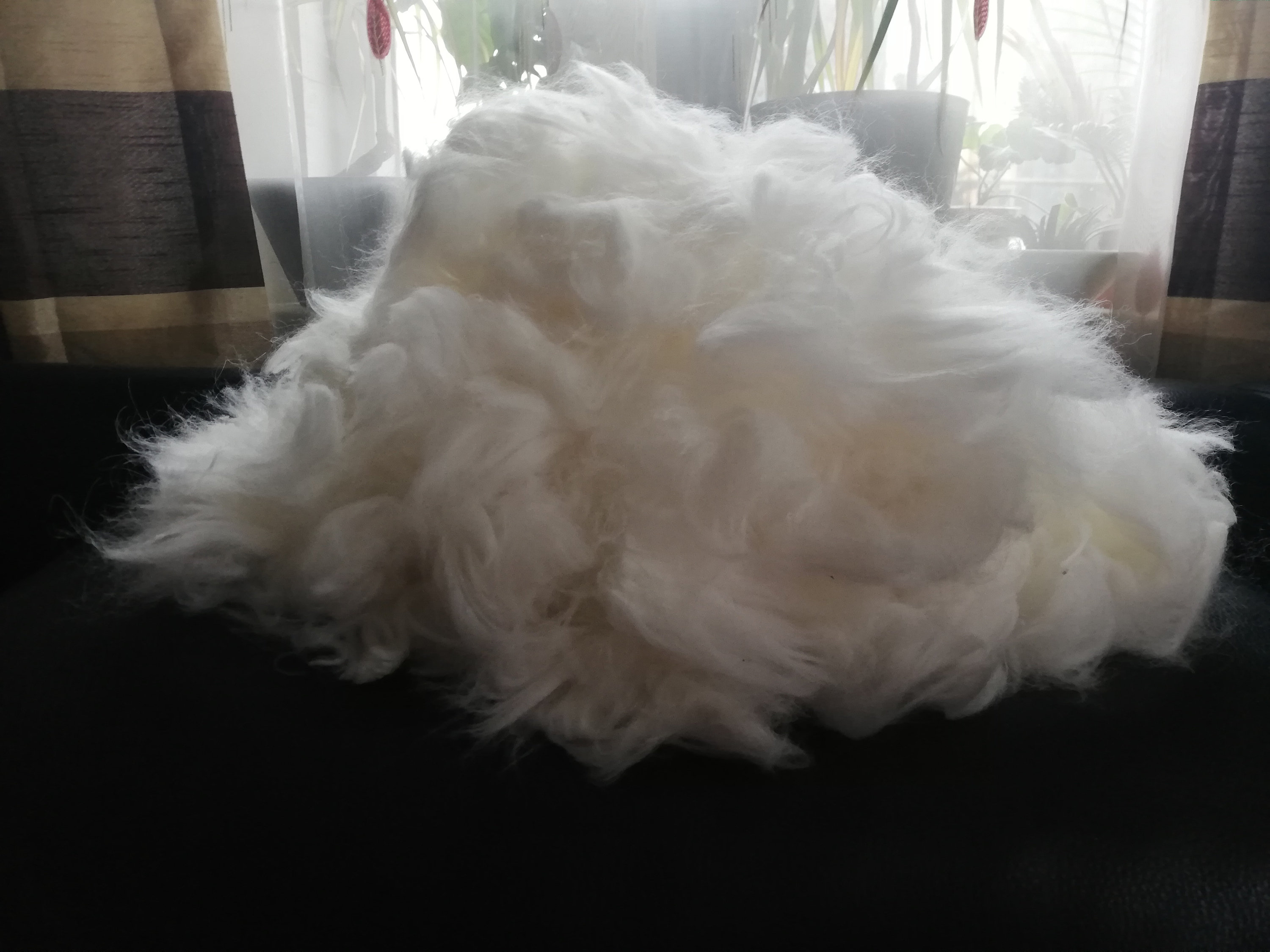 Angora Rabbit Fiber 50g. - Etsy