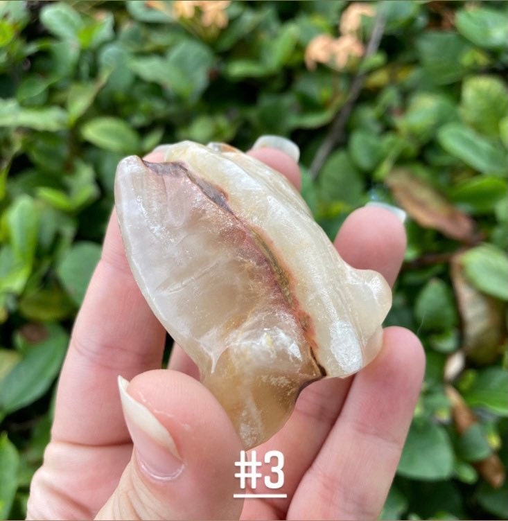 Green Banded Sardonyx Tree Frogs / Crystal Frogs / Chalcedony - Etsy