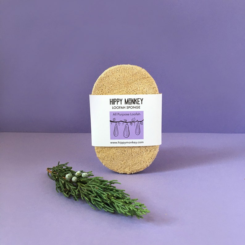 Set of 3 All Natural Loofah Sponges | Bath Sponge | Exfoliating Loofah ...