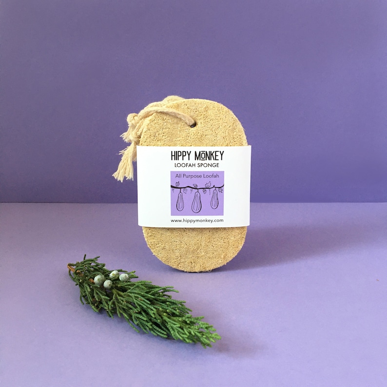 Set of 3 All Natural Loofah Sponges | Bath Sponge | Exfoliating Loofah ...