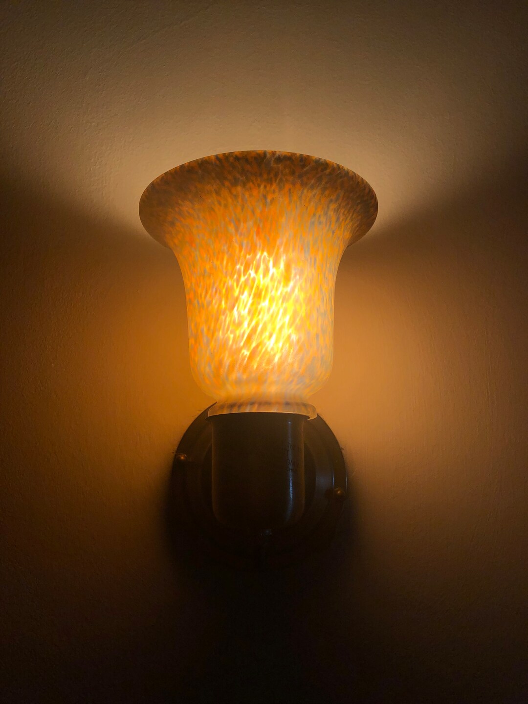 French Vintage Vianne Glass Handblown Sconce Shades, a Pair Exotic of ...