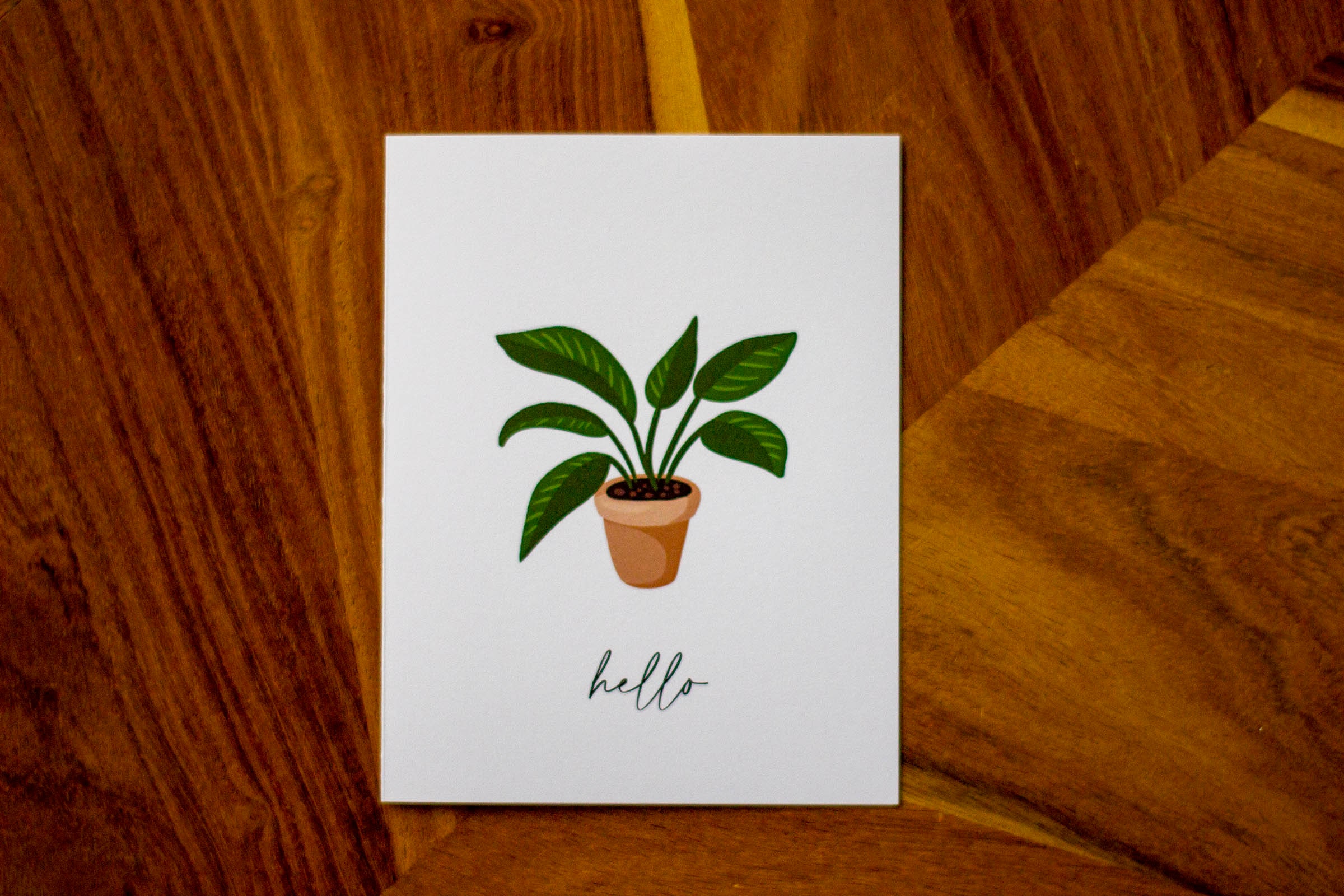Potted Plant Greeting Card Collection Pack / Set of 12 With Envelopes ...