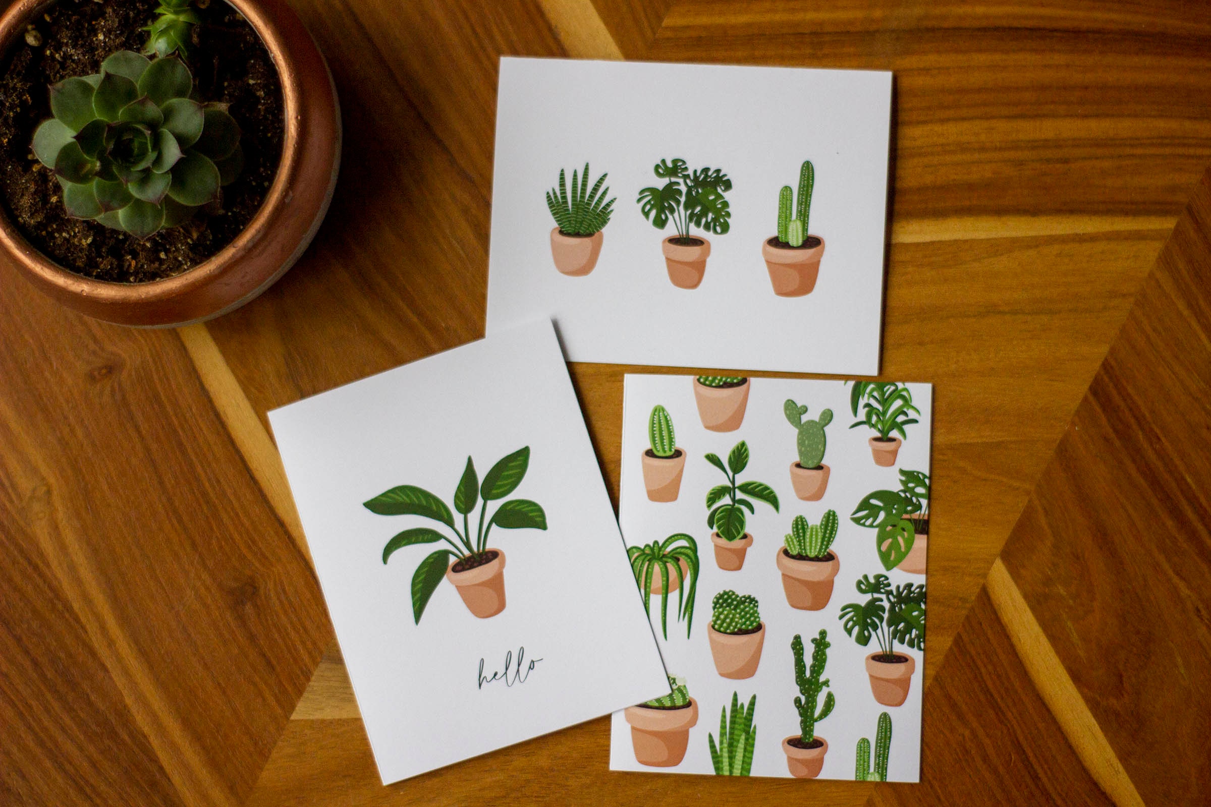 Potted Plant Greeting Card Collection Pack / Set of 12 With Envelopes ...