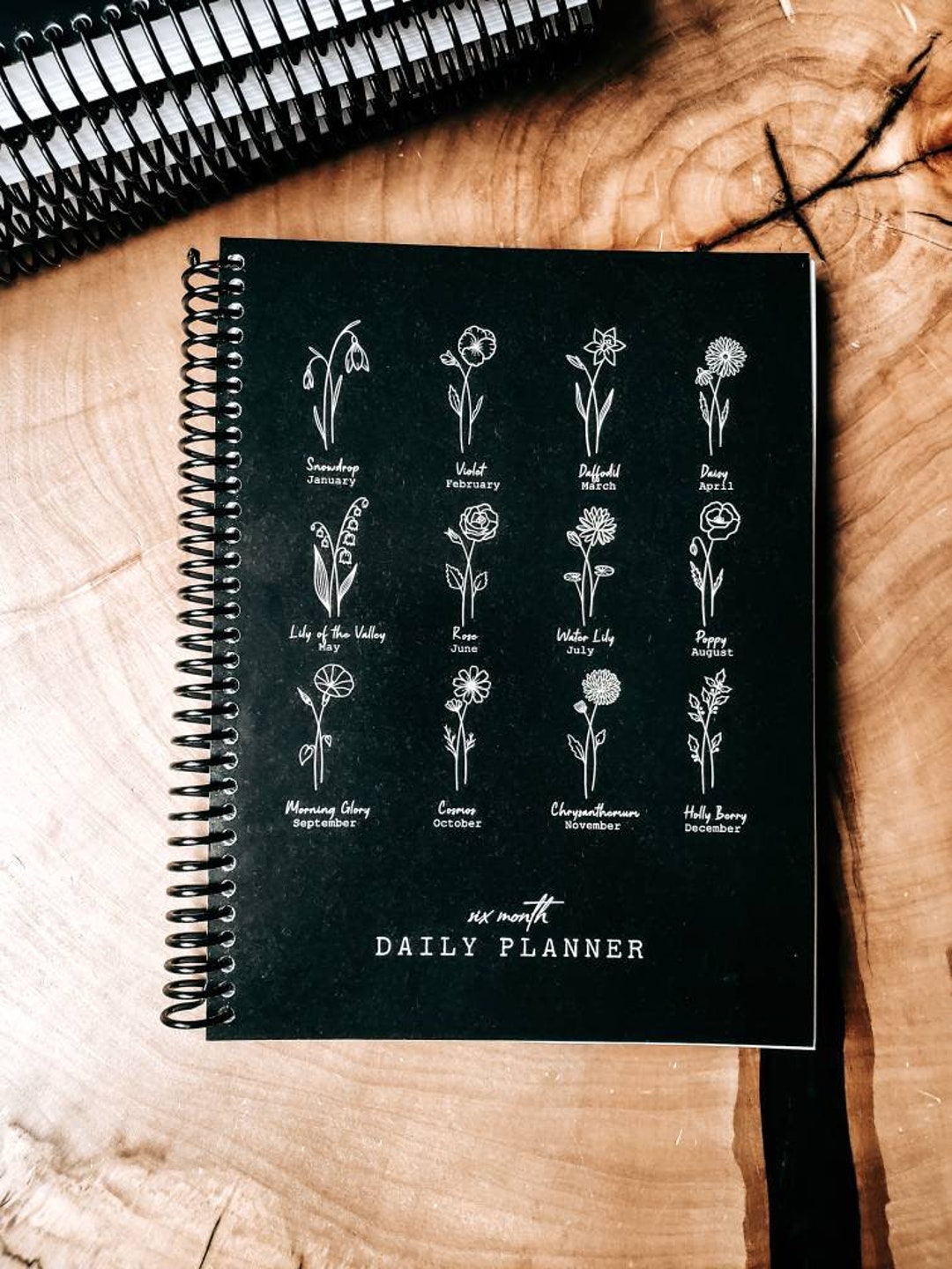6 Month Daily Planner Undated Minimalist - Etsy