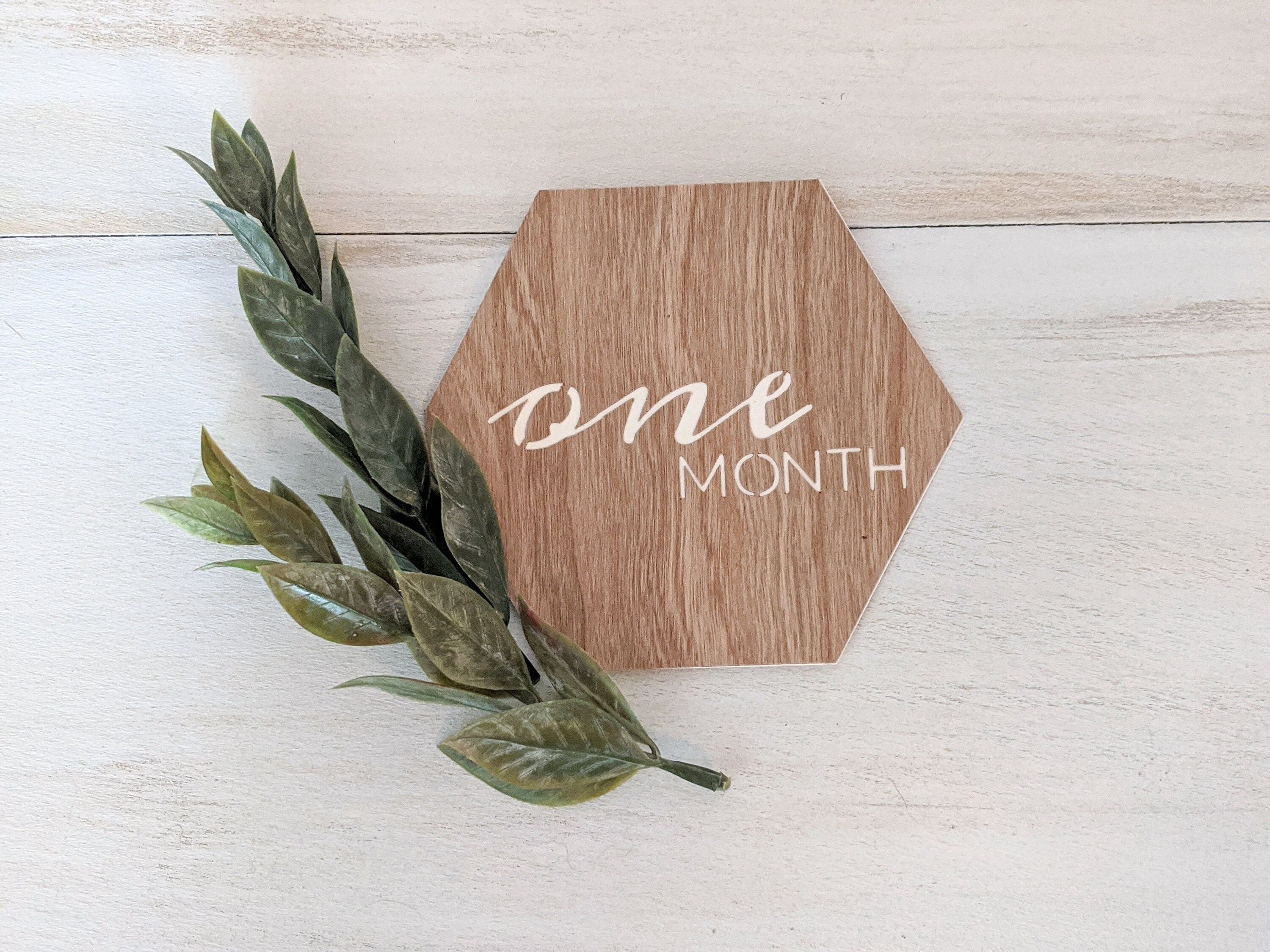 Baby Milestone Card Set 12 // Monthly Milestone Cards // - Etsy