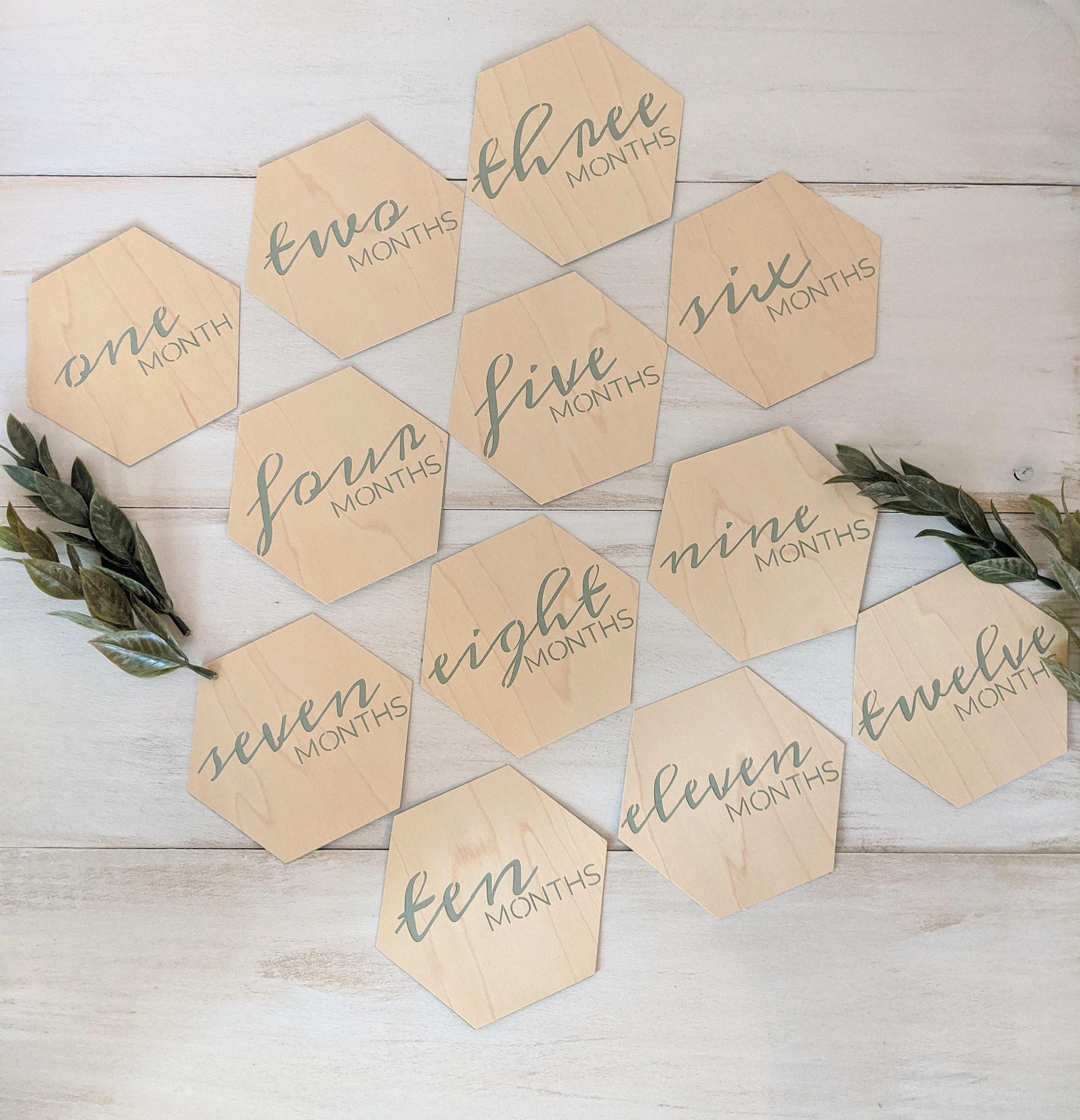 Baby Milestone Card Set 12 // Monthly Milestone Cards // | Etsy